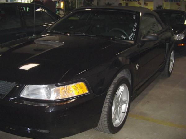 dr-mustang - die us-car community › Mit Dr. Mustang auf (Donner ...